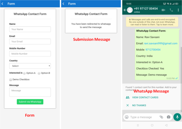 WhatsApp Form Details | WebVista | Siberian CMS Store